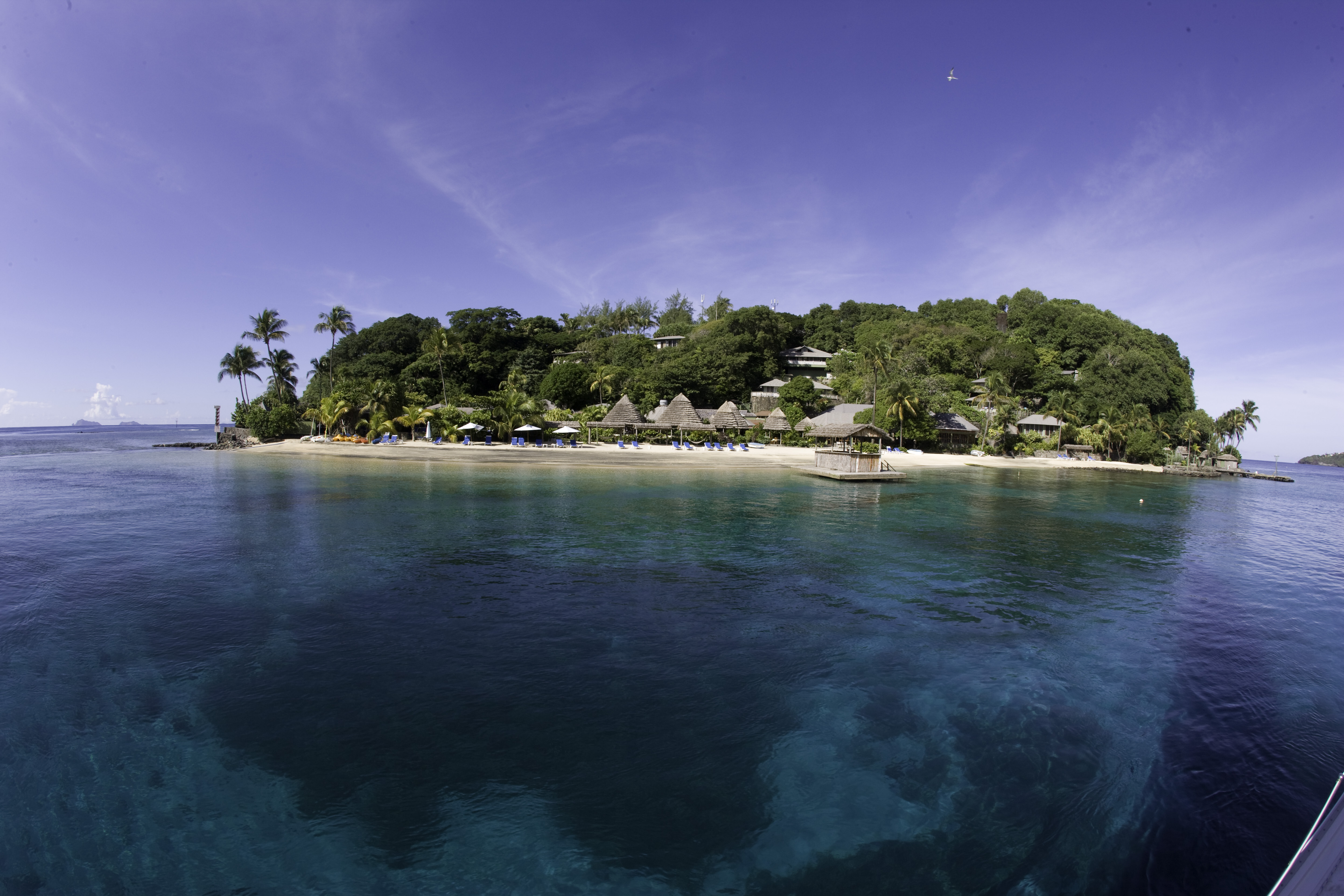 Young Island • Moxley & Co