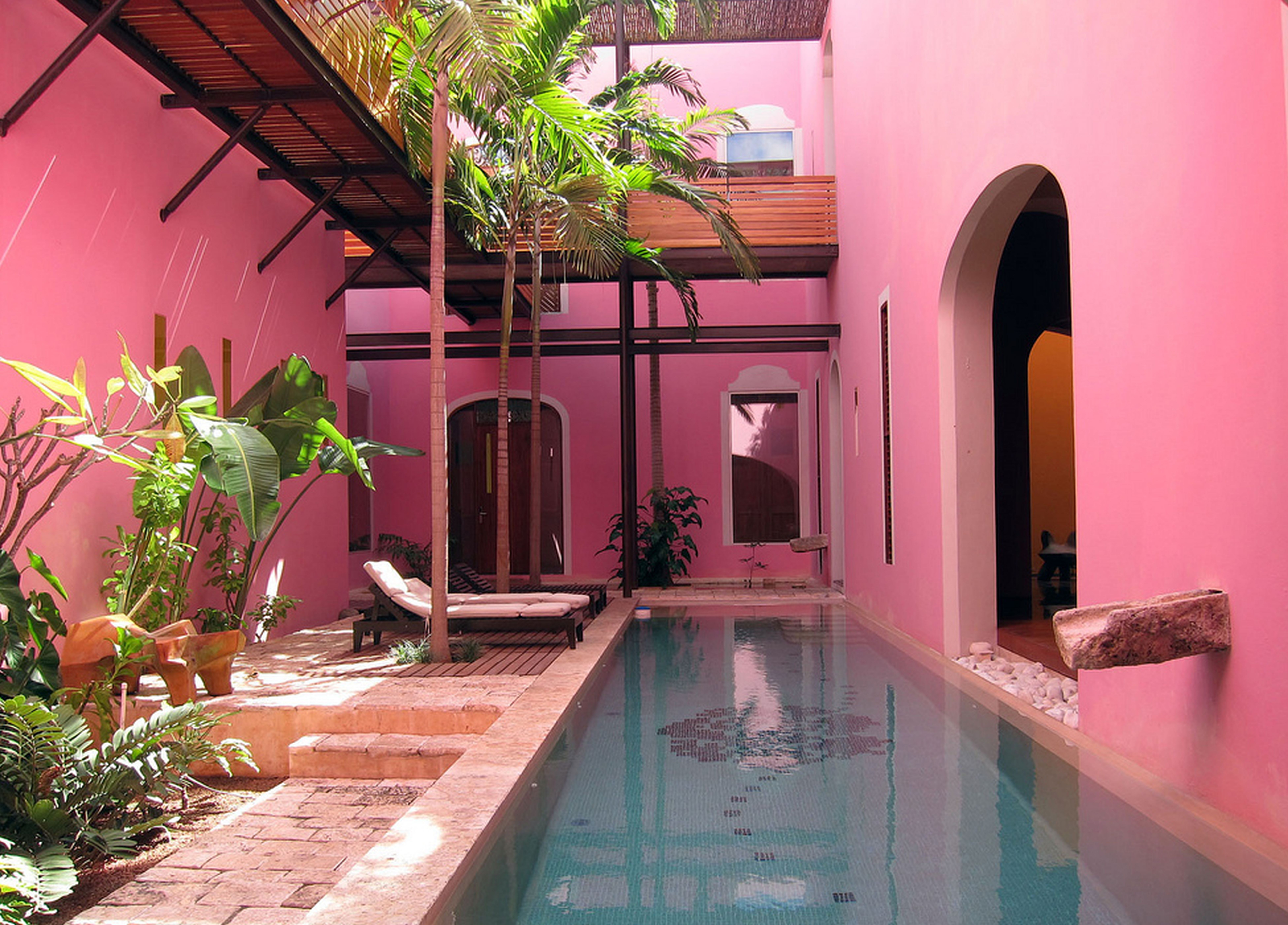 Rosas y Xocolate, Merida • Moxley & Co