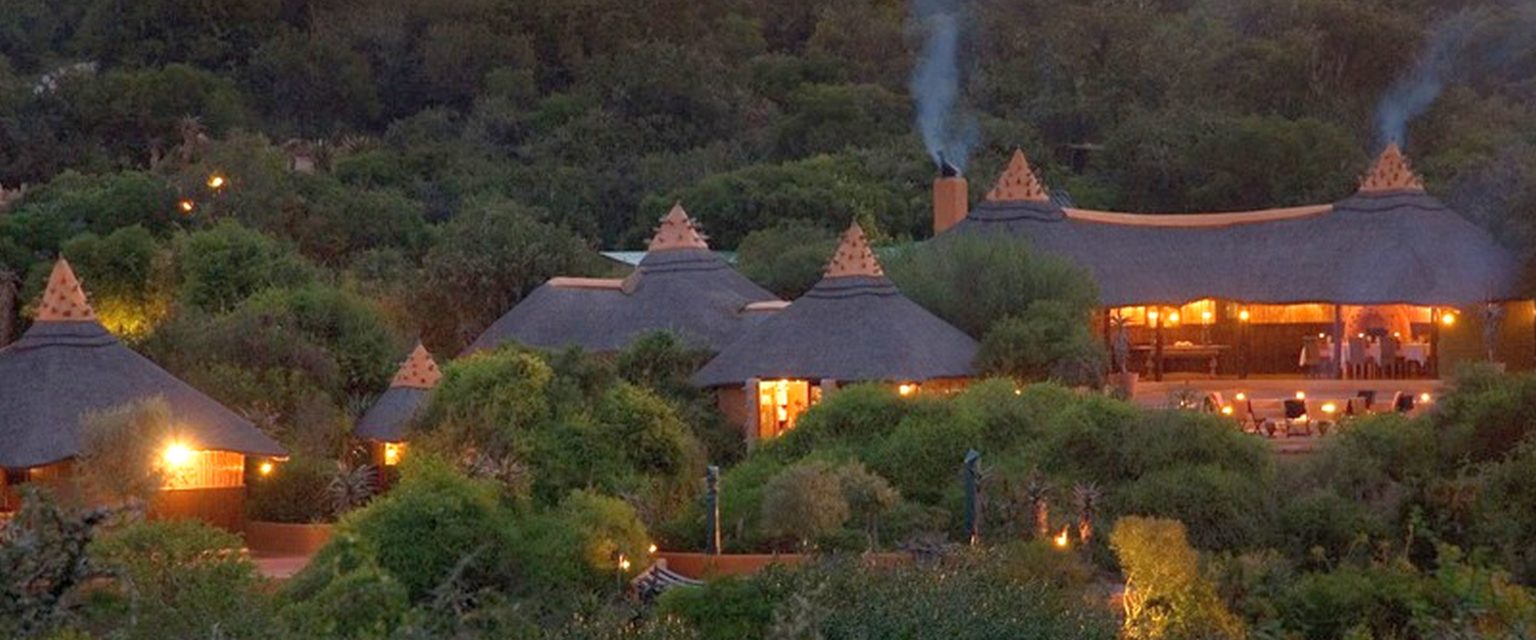 Amakhala Game Reserve Safari