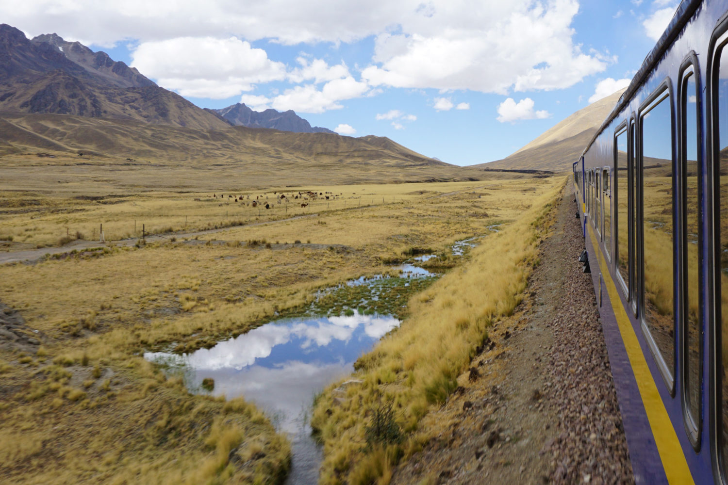 Train Travel in Peru